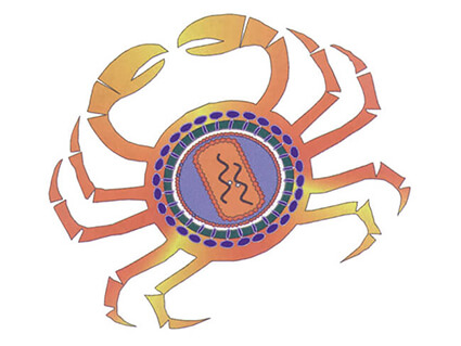 Office of HIV and AIDS Malignancy - National Cancer Institute