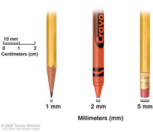 Pencil eraser size - rabbitquest