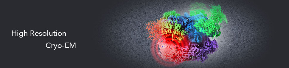 National Cryo-Electron Microscopy Facility - National Cancer Institute