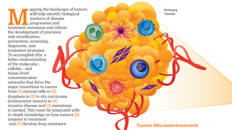 Cancer Research - National Cancer Institute
