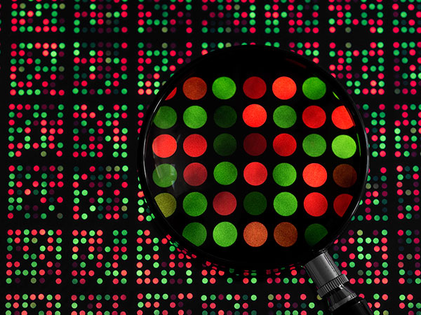 TAILORx Trial Shows Some Women with Breast Cancer May Forgo ...