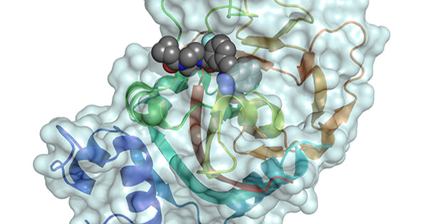 FDA extiende aprobación de olaparib para cáncer de ovario - National ...