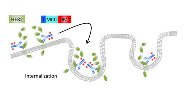 T-DM1 Approval Expanded for HER2-Positive Breast Cancer - National ...