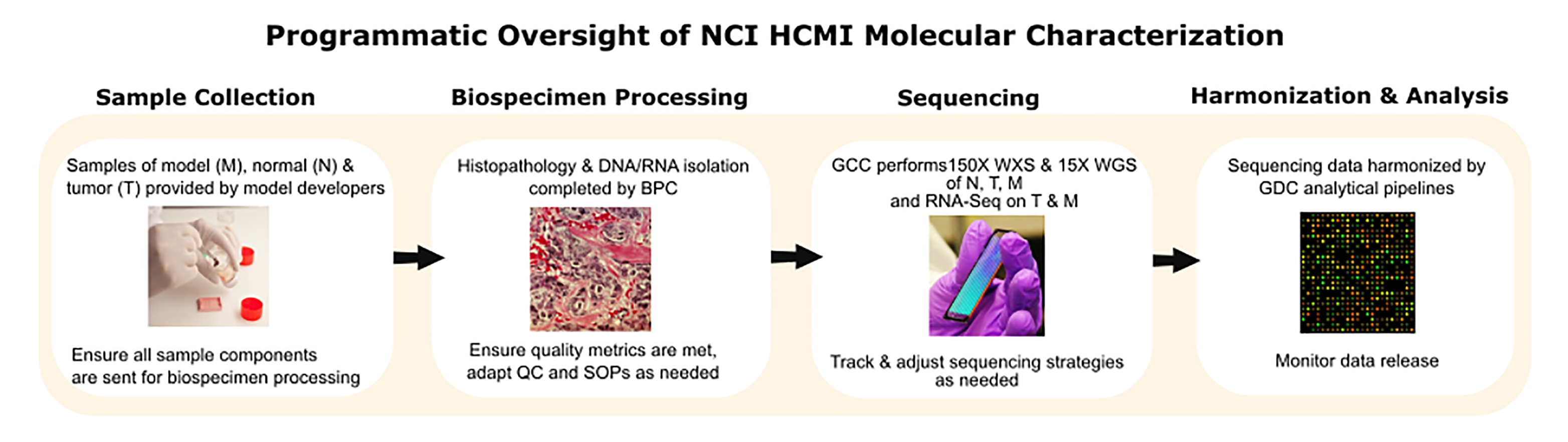 Leveraging a Genomics Background to Facilitate Molecular Characterization of HCMI Models - NCI