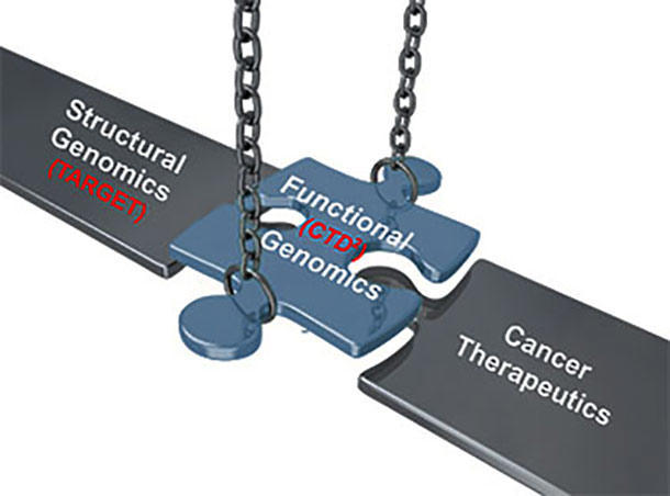 Collaborative Genomics Study Advances Precision Oncology - NCI