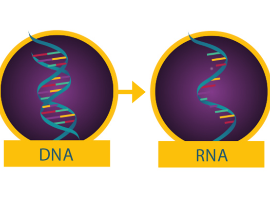 Intro to Proteogenomics - NCI