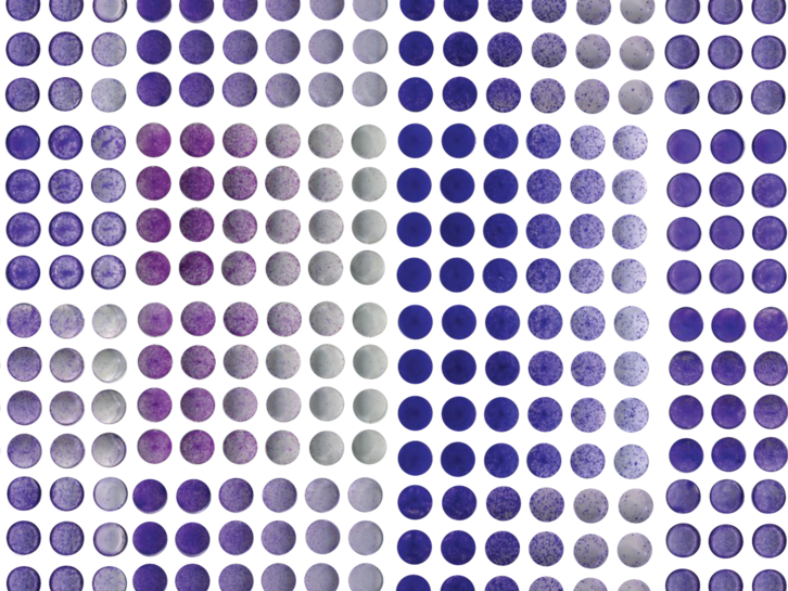 The Serendipitous Off-Target Explorer - NCI