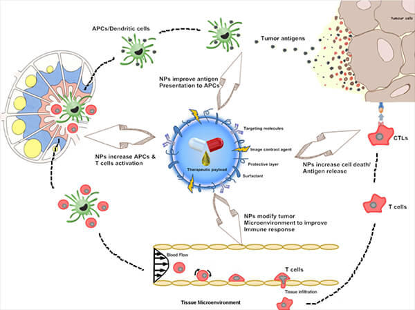 Nanotechnology Cancer Therapy and Treatment - National Cancer Institute