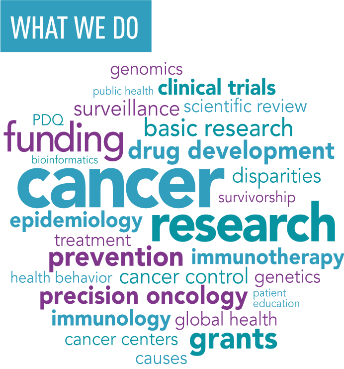 NCI’s Role in Cancer Research - National Cancer Institute