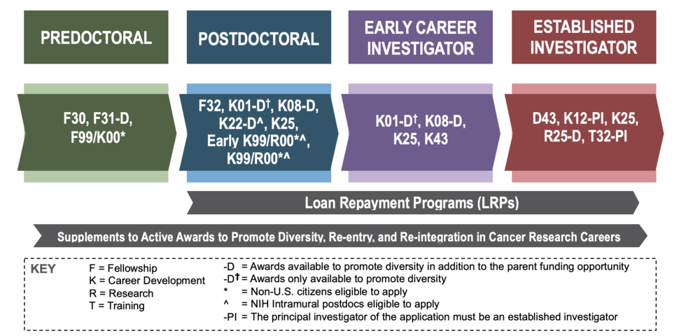 Funding for Cancer Training - NCI