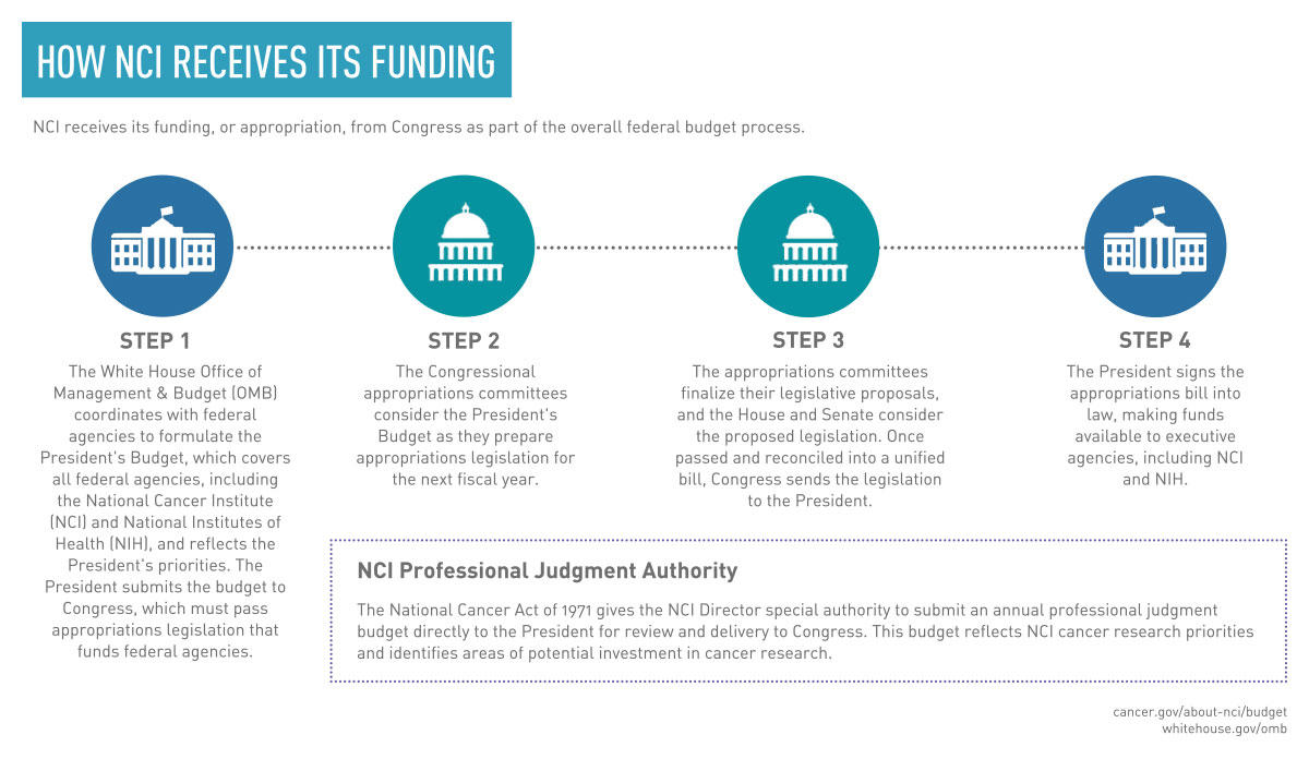 Amid federal funding uncertainty, cancer center leaders forge ahead ...