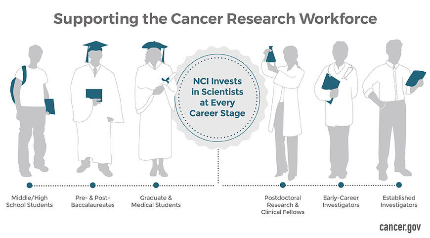 Supporting the Cancer Research Workforce - NCI