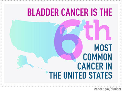 Treatment May Help Prevent Bladder Cancer Recurrences - NCI