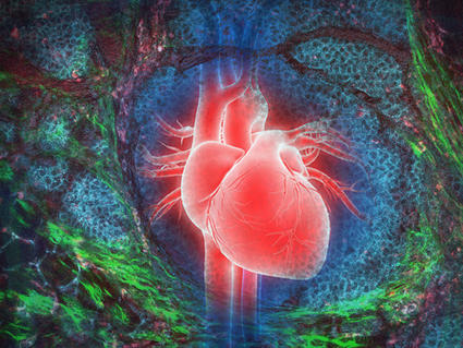 News & Events - National Cancer Institute