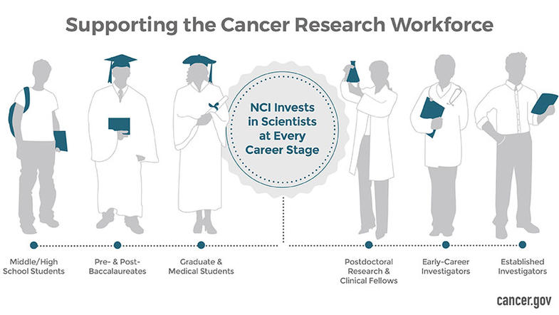 Cancer Research - National Cancer Institute
