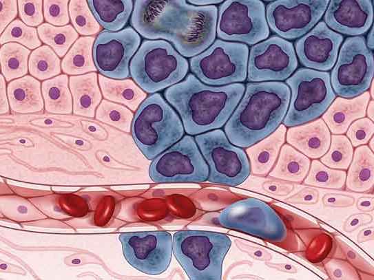 NIH Completes PanCancer Atlas - NCI