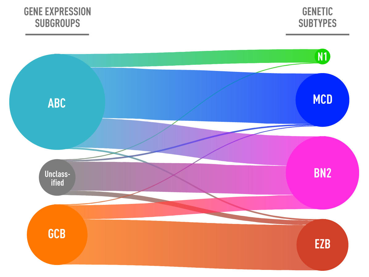 NCI study offers genetic insights into common lymphoma - NCI