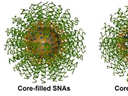 A Conversation about Cancer Nanotechnology - NCI