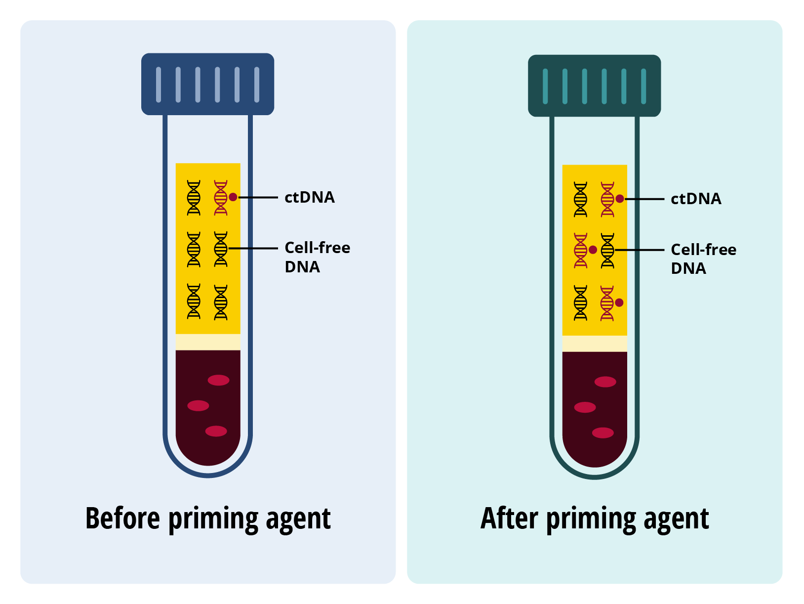 Increasing ctDNA Volume to Improve Liquid Biopsy Sensitivity - NCI