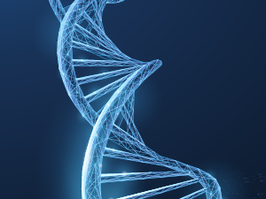 New Contract Opportunity to Maintain the CPTAC Assay Portal and ...